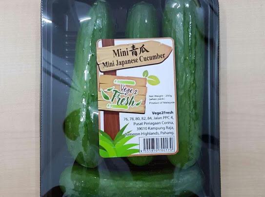 Mini Japanese Cucumber | Vegetable Wholesaler | CCL IMPEX