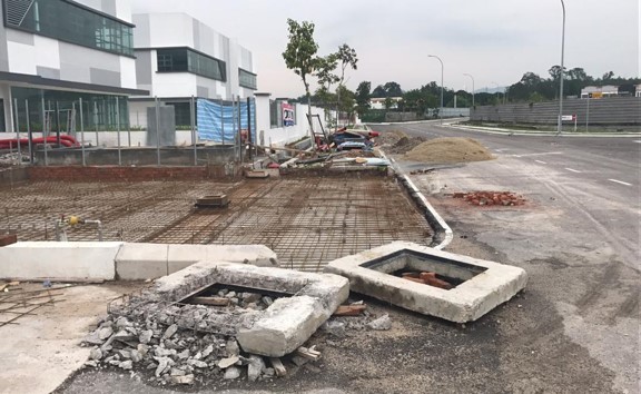 Picture12 | Vegetable Wholesaler | CCL IMPEX