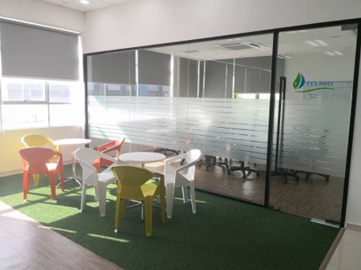 Process | Vegetable Wholesaler | CCL IMPEX