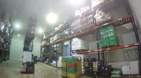 Process | Vegetable Wholesaler | CCL IMPEX