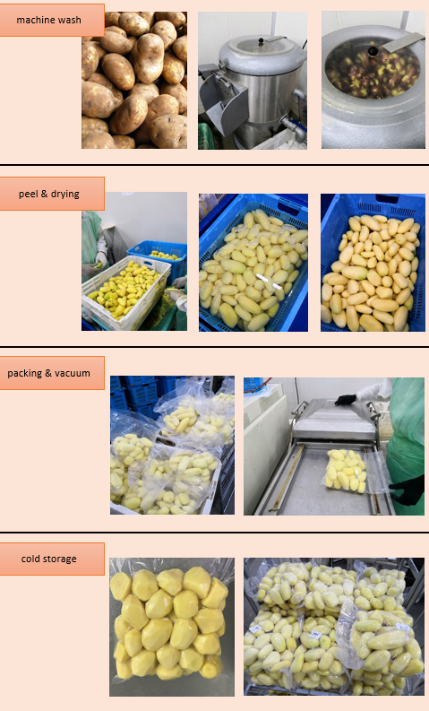 Process | Vegetable Wholesaler | CCL IMPEX