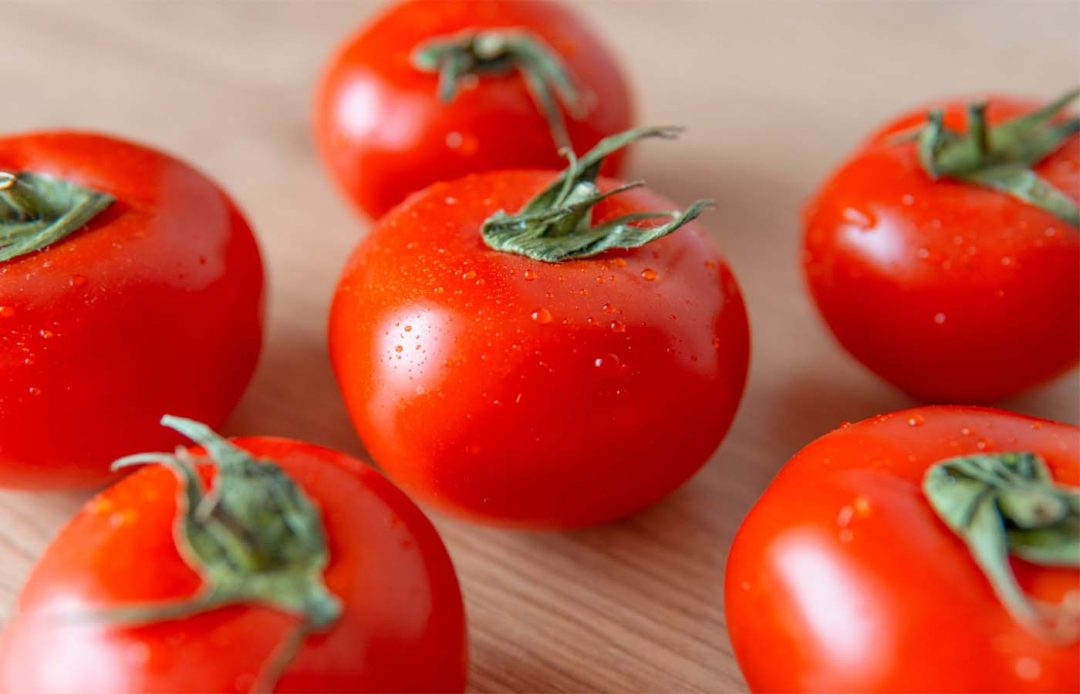 Contact Us | Vegetable Wholesaler | CCL IMPEX