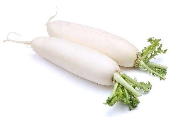 White Radishes