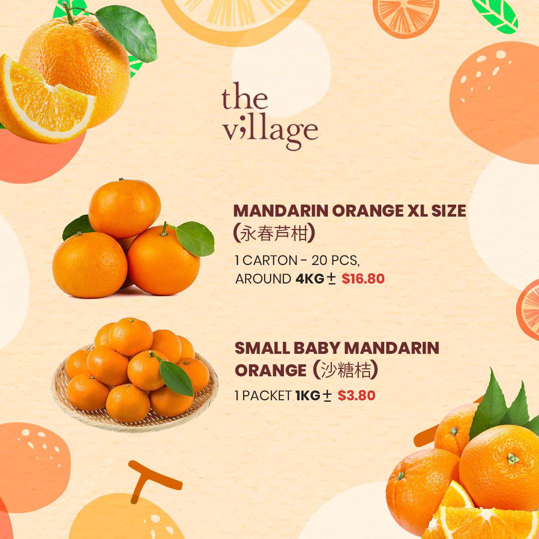 oranges mini and XL | Vegetable Wholesaler | CCL IMPEX
