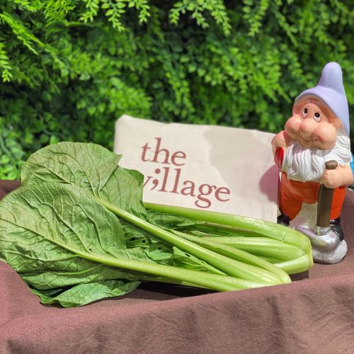 chye sim 2 | Vegetable Wholesaler | CCL IMPEX