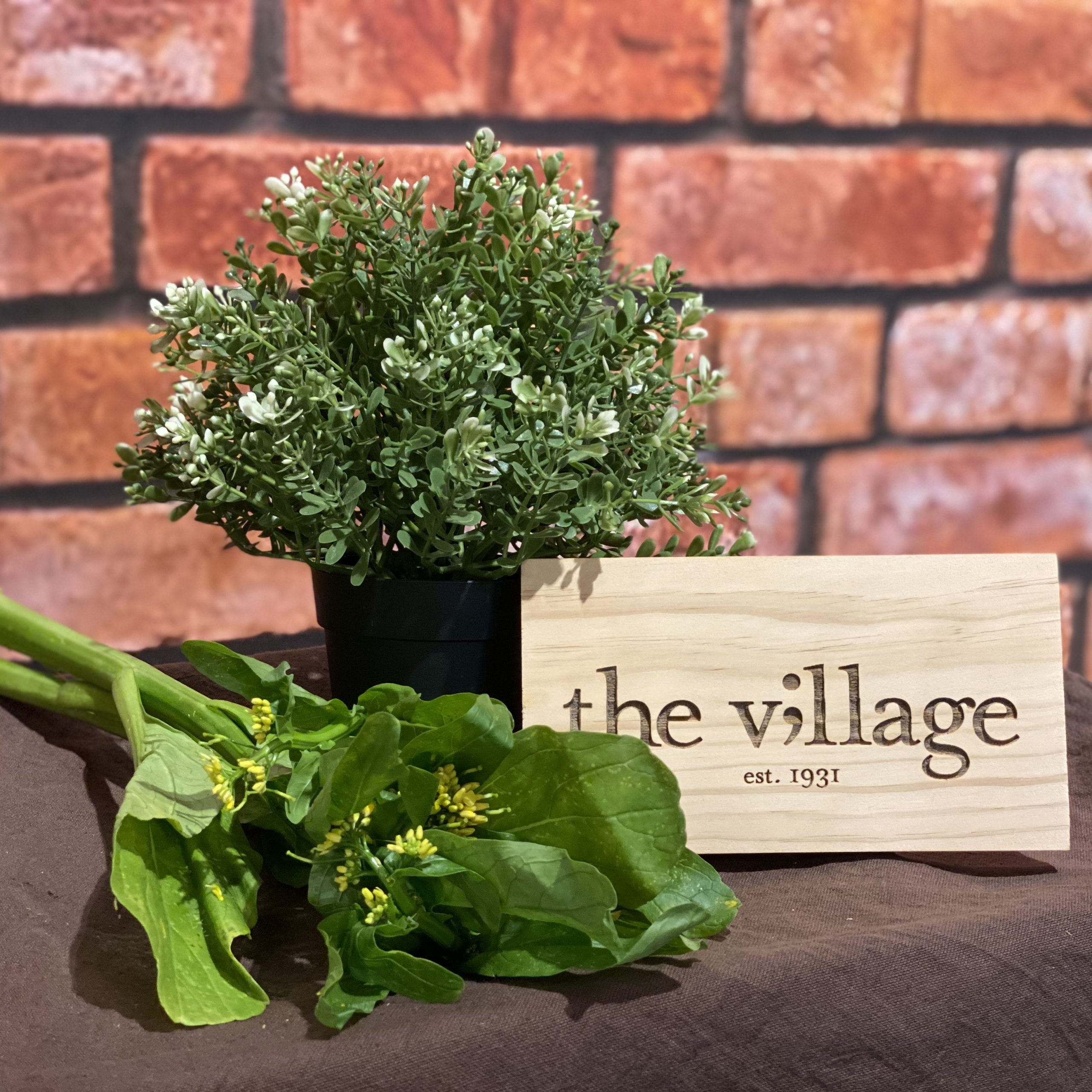 chye sim hua | Vegetable Wholesaler | CCL IMPEX