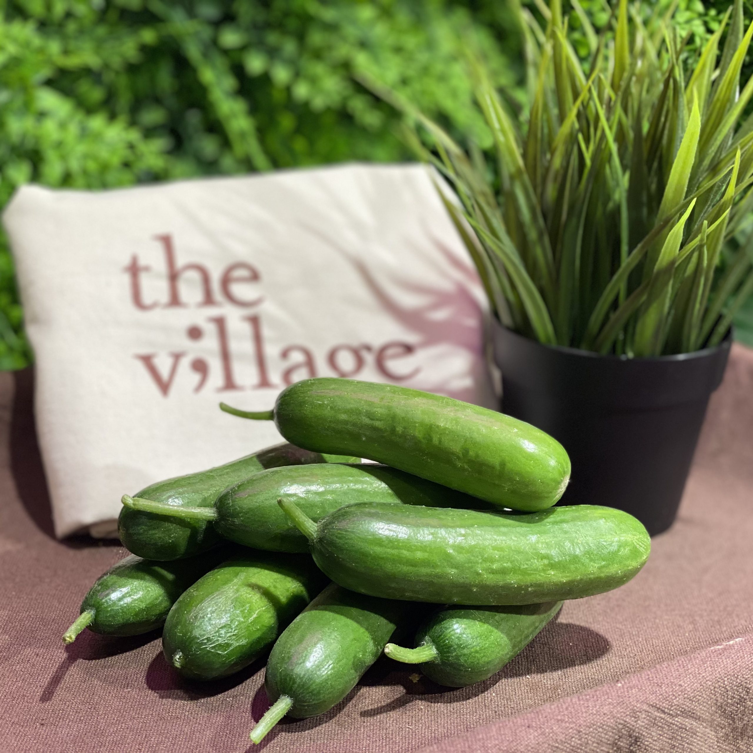 cocktail cucumber | Vegetable Wholesaler | CCL IMPEX