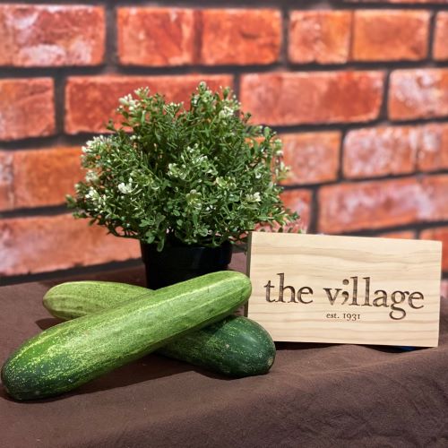 cucumber | Vegetable Wholesaler | CCL IMPEX