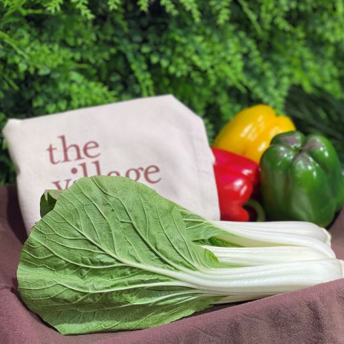 jiu bai | Vegetable Wholesaler | CCL IMPEX