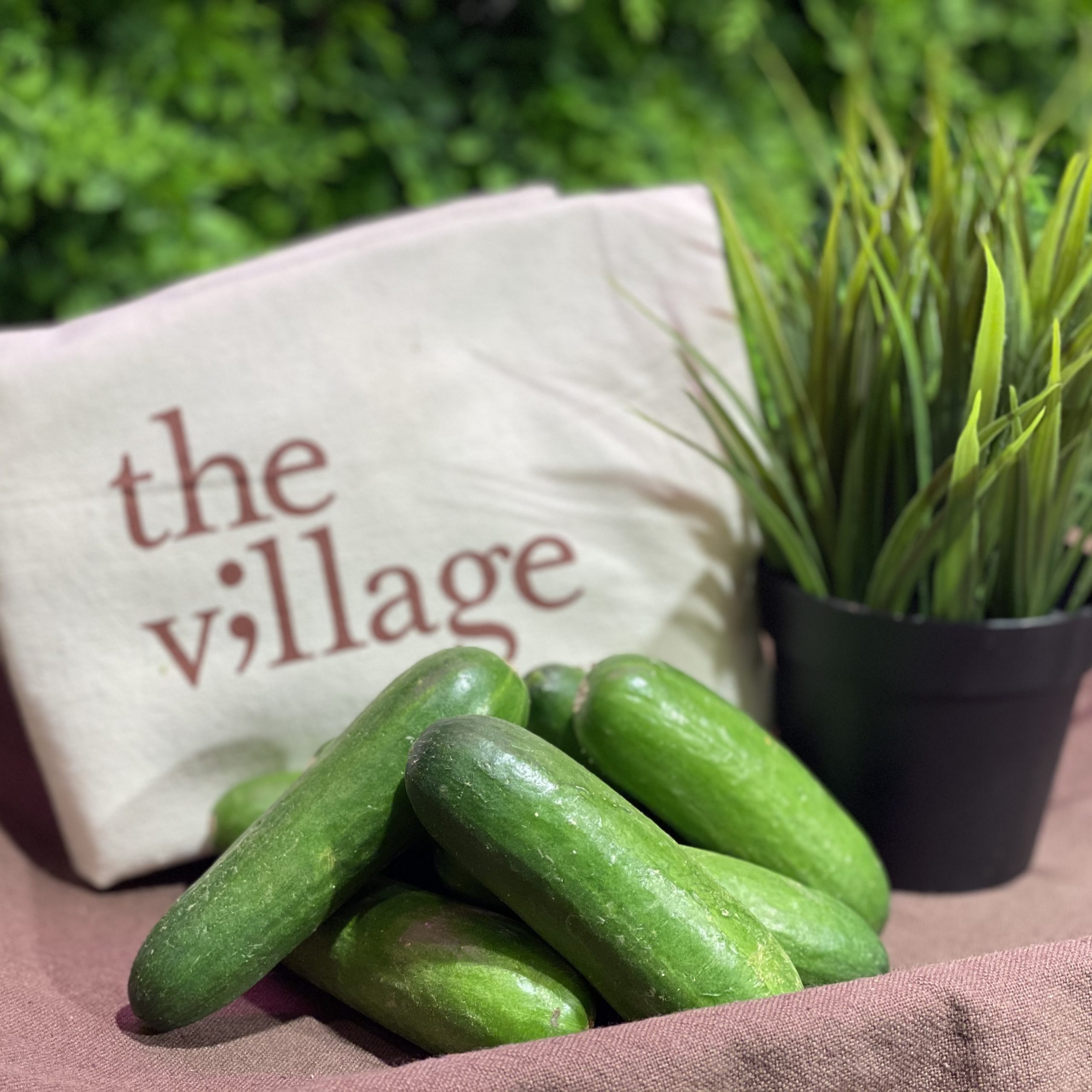 mini cucumber | Vegetable Wholesaler | CCL IMPEX