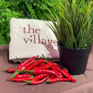 red chilli padi | Vegetable Wholesaler | CCL IMPEX