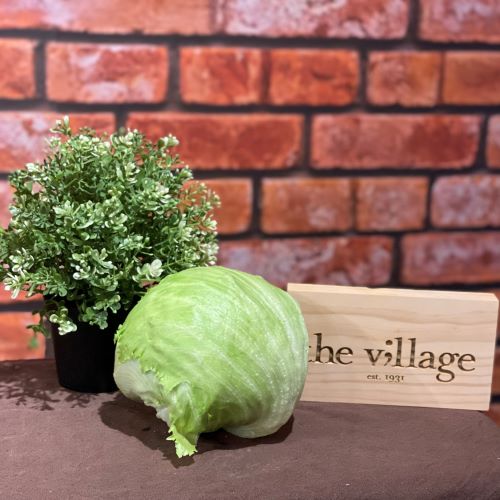 iceberg lettuce | Vegetable Wholesaler | CCL IMPEX