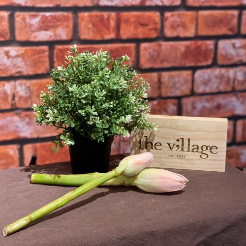 rojak flower | Vegetable Wholesaler | CCL IMPEX