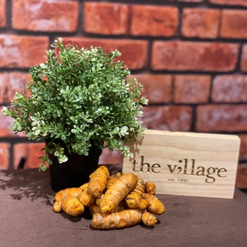 yellow ginger | Vegetable Wholesaler | CCL IMPEX