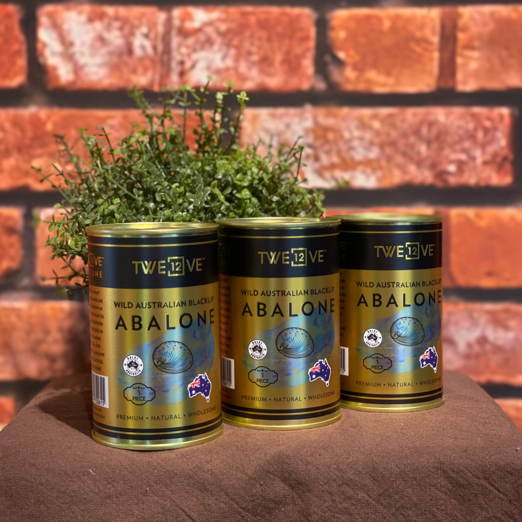 Abalone 3 cans | Vegetable Wholesaler | CCL IMPEX
